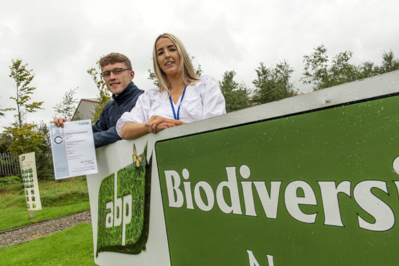 ABP Becomes The First Irish-Owned Company to Achieve AWS Certification ...